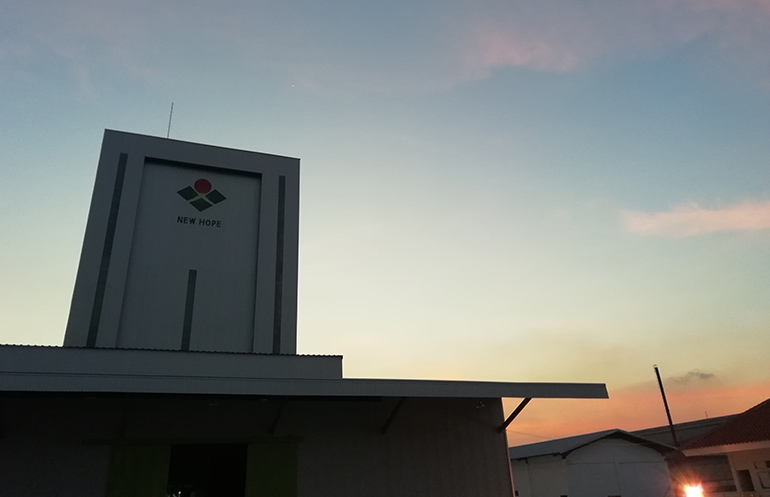 » New Workshop & Main Building PT. New Hope Indonesia