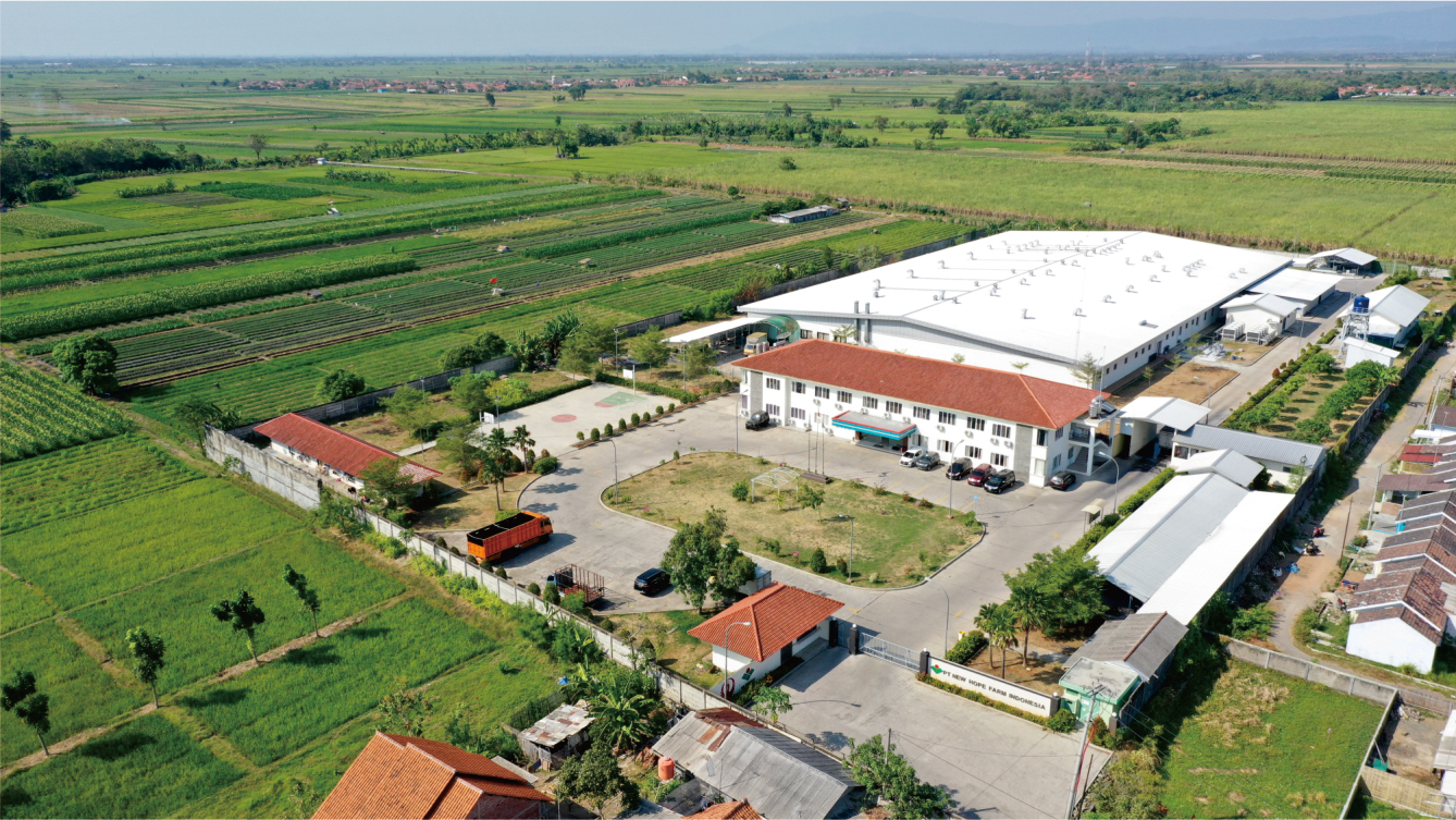 » NEW HOPE FARM INDONESIA