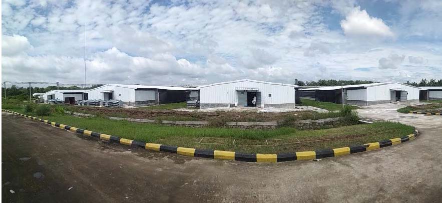» NEW HOPE FARM INDONESIA